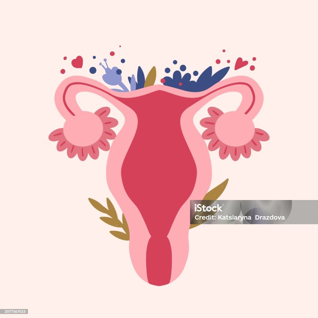 Female Reproductive System Womans Health Intimate Hygiene Vector