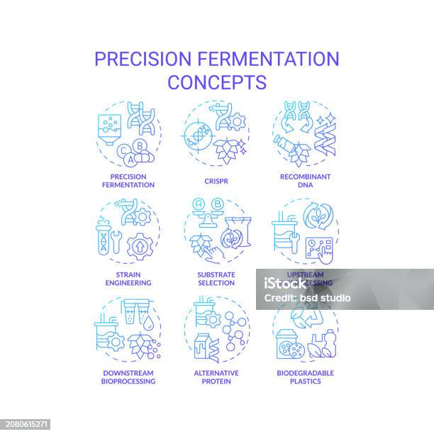 Precision Fermentation Blue Gradient Concept Icons Stock Illustration ... Precision Fermentation Blue Gradient Concept Icons Stock Illustration ...