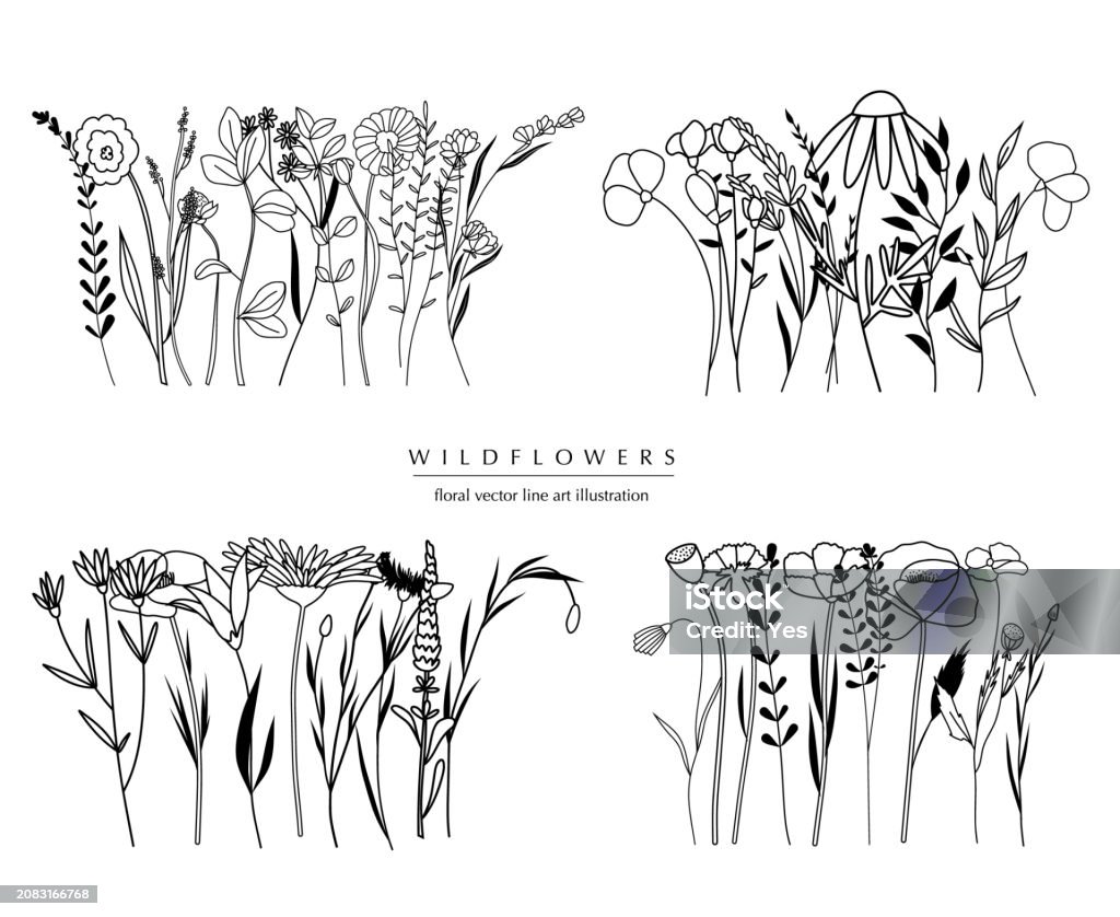 Botanical Abstract Line Art Compositions Minimal Floral Borders Of Hand