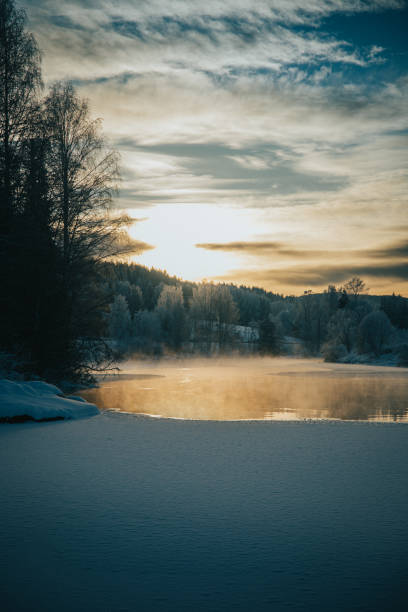 Free Stock Photo of Serene lake at sunset with barren trees | Download ...