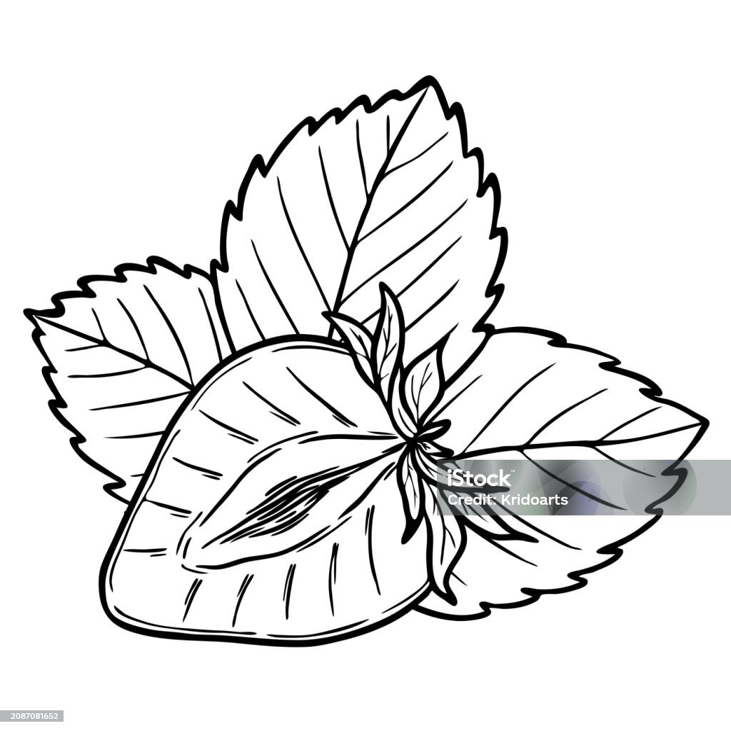 Ilustración De Composición De Ilustración De Arte Lineal De Fresa