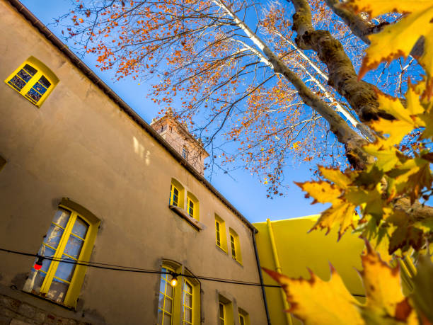 Free Stock Photo of Classical architecture with autumn leaves ...