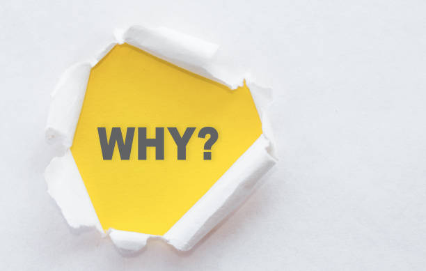80+ Free Why & What Photos - Pixabay