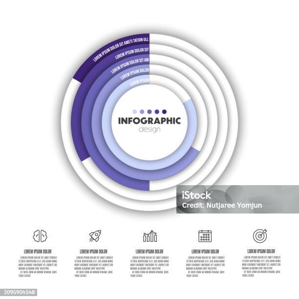 Cercle Dinfographie Vectorielle Modèle De Diagramme Pour La