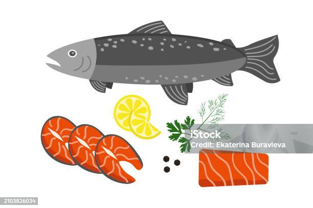 Ikan Salmon Atau Trout Utuh Steak Dan Fillet Mentah Potongan Ikan Merah ... Ikan Salmon Atau Trout Utuh Steak Dan Fillet Mentah Potongan Ikan Merah ...