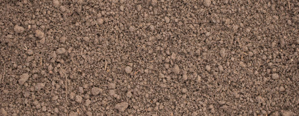 Free Stock Photo of Top soil texture background | Download Free Images ...