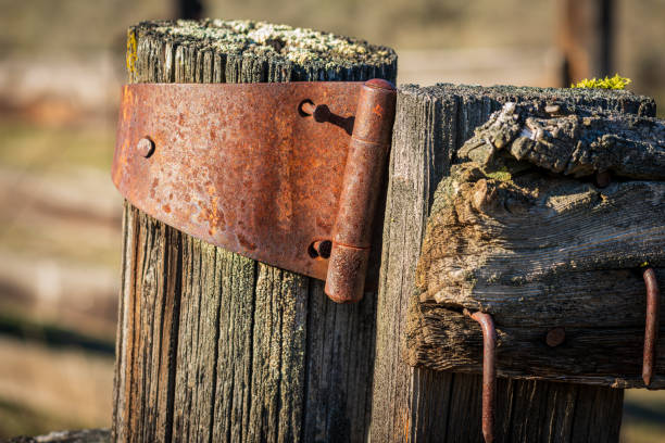 41,200+ Old Rusty Gate Stock Photos, Pictures & Royalty-Free Images ... 41,200+ Old Rusty Gate Stock Photos, Pictures & Royalty-Free Images ...