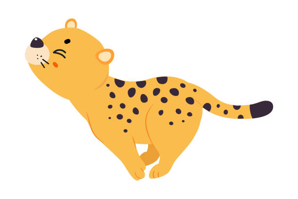 400 Jaguar Cub Stock Illustrations Royalty Free Vector Graphics And Clip Art Istock