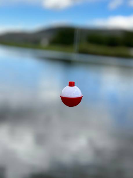 Free Stock Photo of Red and White Fishing Bobber | Download Free Images ...