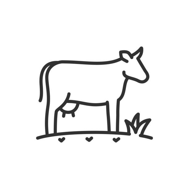 120 Cow Eating Grass Icon Stock Illustrations Royalty Free Vector