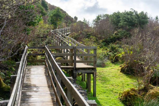 Free Stock Photo of Footbridge Across A Steam | Download Free Images ...