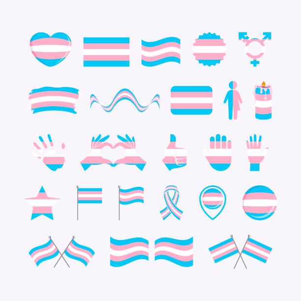 960 Transgender Pride Flag Stock Illustrations Royalty Free Vector