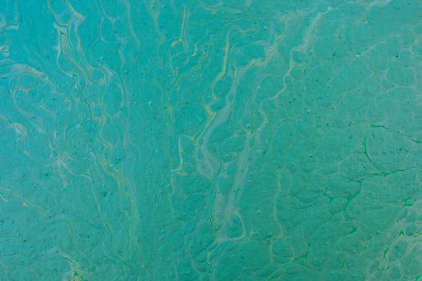 60,000+ Free Hydro Dipping Patterns & Pattern Images - Pixabay