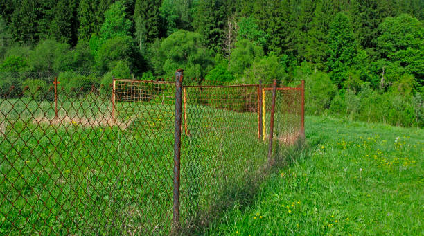 Free Stock Photo of Forest scene seen through chain-link fence ...