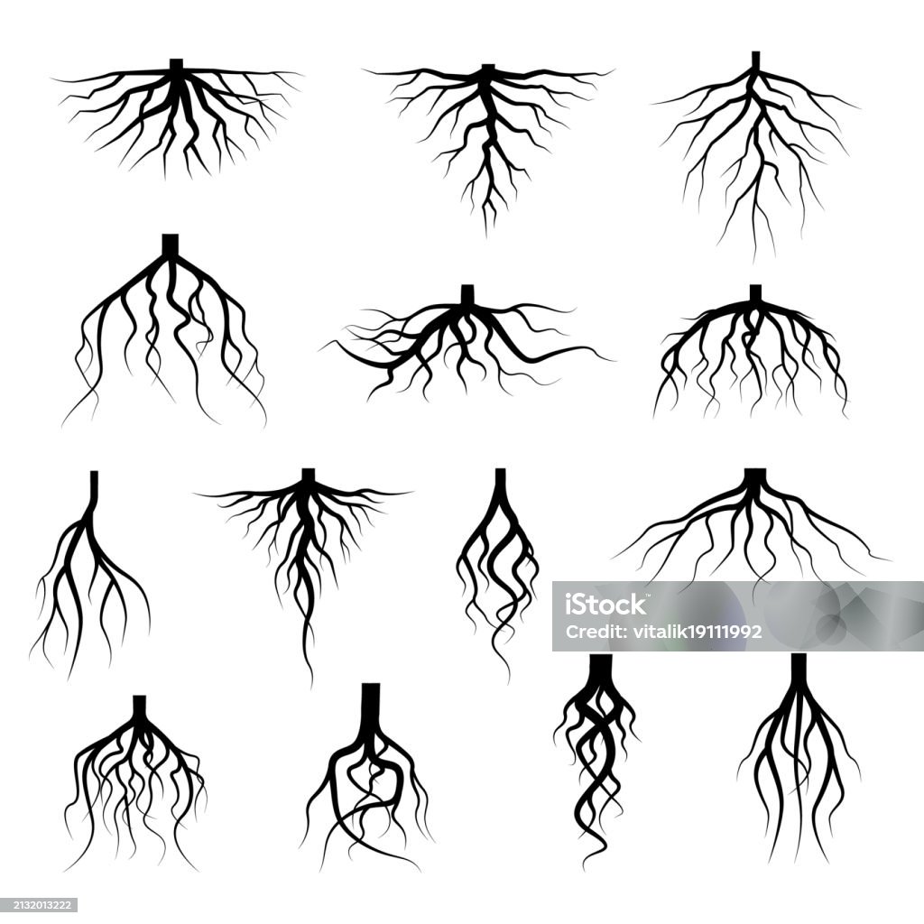 Tree Root Icon Tree Root Icon Set Tree Root Silhouette Set ... Tree Root Icon Tree Root Icon Set Tree Root Silhouette Set ...