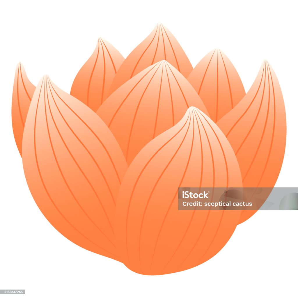 Lotus Water Lily Flower Hand Drawn Illustration Stock Illustration Download Image Now Art