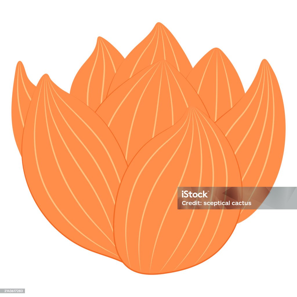 Lotus Water Lily Flower Hand Drawn Illustration Stock Illustration Download Image Now Art