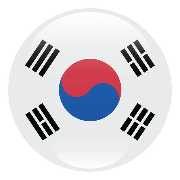 400 North South Korea Flag Stock Illustrations Graphiques Vectoriels