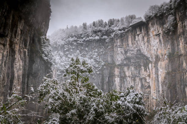 Free picture: trees, limestone, cave, landscape, park, forest, rock ...