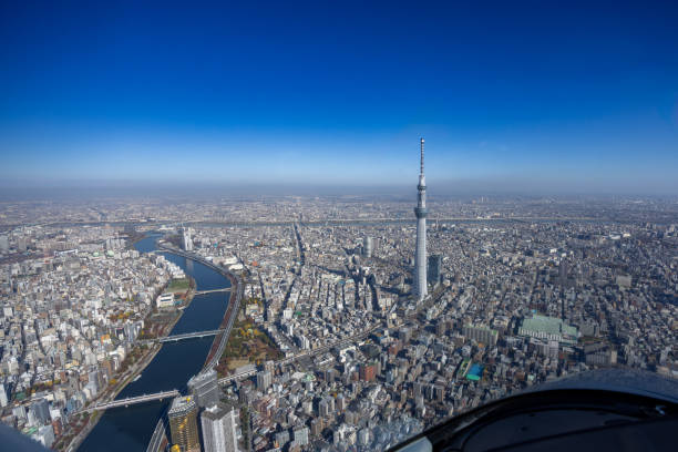 400,000+ Free Sky Tree & Tree Images - Pixabay