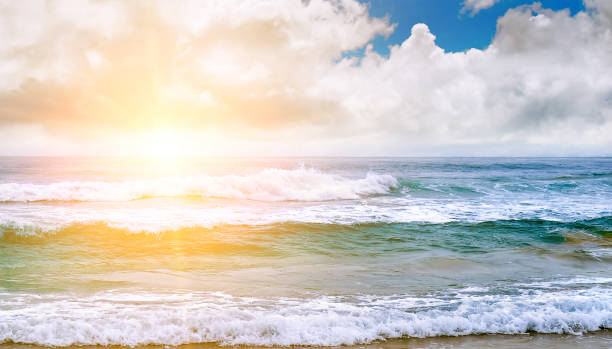 Free Stock Photo of Bright tropical beach with sun flare | Download ...