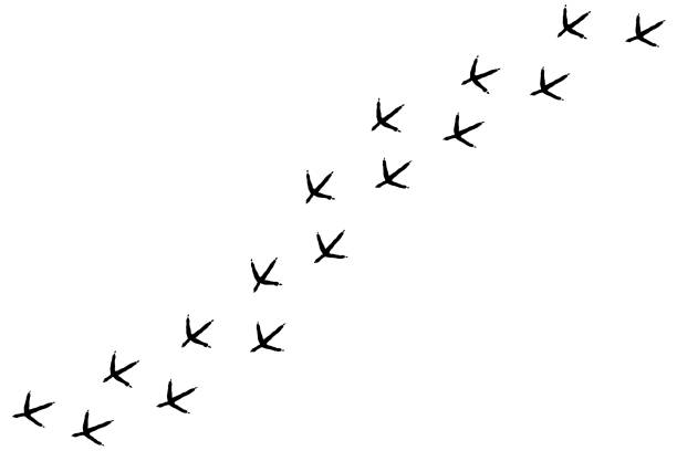 Download Chicken Feet, Footprint, Pattern. Royalty-Free Stock ...