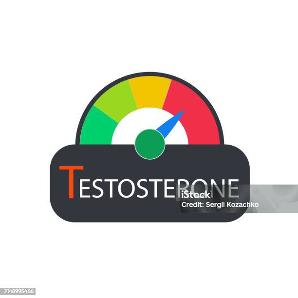 Testosterone Level Meter Measuring Scale Hormone Testosterone