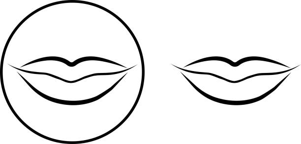 40 Labrum Ilustrasi Grafik Vektor And Clip Art Bebas Royalti Terbaik