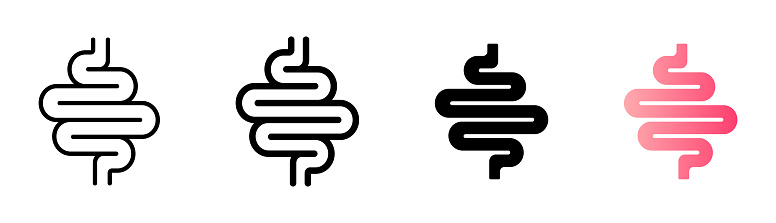 Icône De Lintestin Symbole De Lintestin Anatomie Humaine Intestins Ou