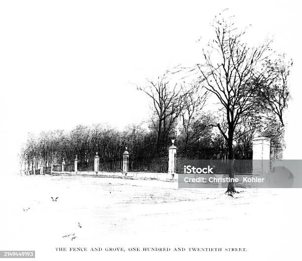 Columbia University Grounds New York City New York United States 19th