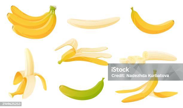 Pisang Kartun Tandan Buah Tropis Utuh Dan Irisan Kulit Kuning Matang