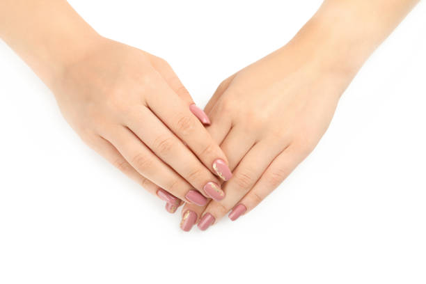 Free Stock Photo of Pair of elegant hands facing each other on white ...