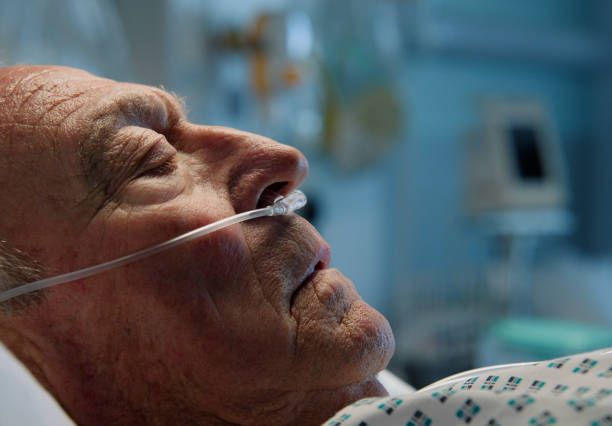 Understanding the Importance of Breathing through a Nose Tube - Memoria ... Understanding the Importance of Breathing through a Nose Tube - Memoria ...