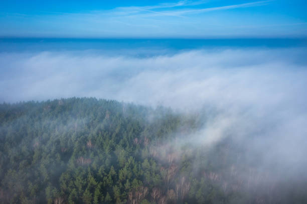 Free picture: Aerial photo of blue sky with semi transparent fog above ...