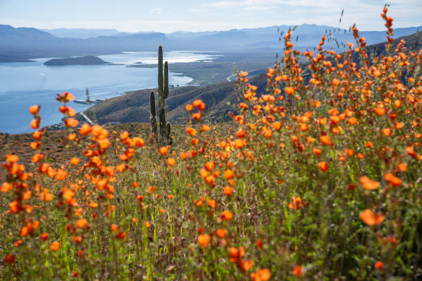 300+ Free Oasis & Nature Images - Pixabay
