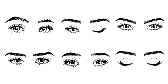 Illustration With Womans Eyes Eyelashes And Eyebrows Makeup Look Stock ... Illustration With Womans Eyes Eyelashes And Eyebrows Makeup Look Stock ...