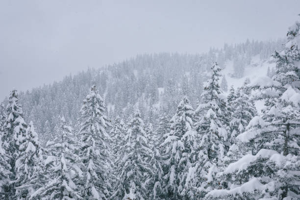 Free Stock Photo of Heavy snow over the mountains | Download Free ...