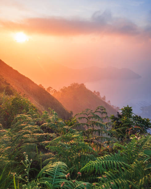 2 200+ Lac Toba Photos Photos, taleaux et images libre de droits - iStock 2 200+ Lac Toba Photos Photos, taleaux et images libre de droits - iStock