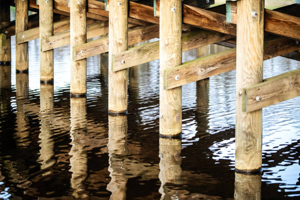 Free Stock Photo of Wooden Pier Overlapping Calm Waters | Download Free ...