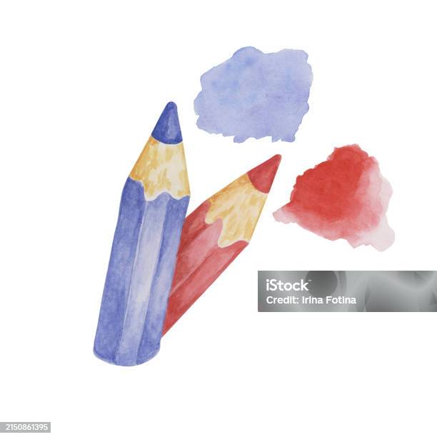 Pensil Warna Merah Dan Biru Krayon Kayu Clipart Untuk Menggambar Dengan