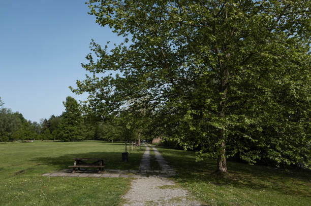 Free picture: park, grass, nature, playground, fence, wood, tree ...