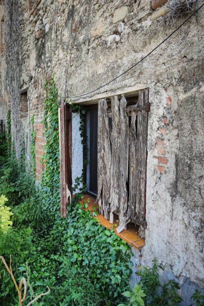 90+ Free Backwoods & Nature Images - Pixabay