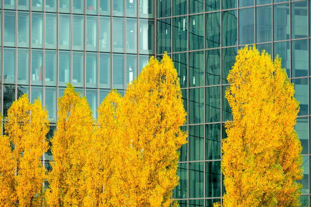 Free Stock Photo of Modern office building with autumn foliage ...