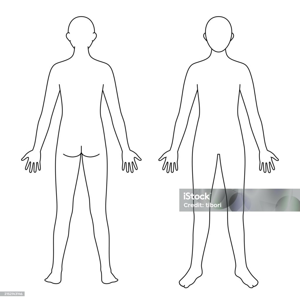 Human Body Model Outline Front And Back Vector File Stock Illustration