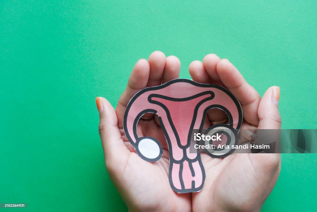 Womens Health Gynecology And Reproductive System Concept Woman Hands