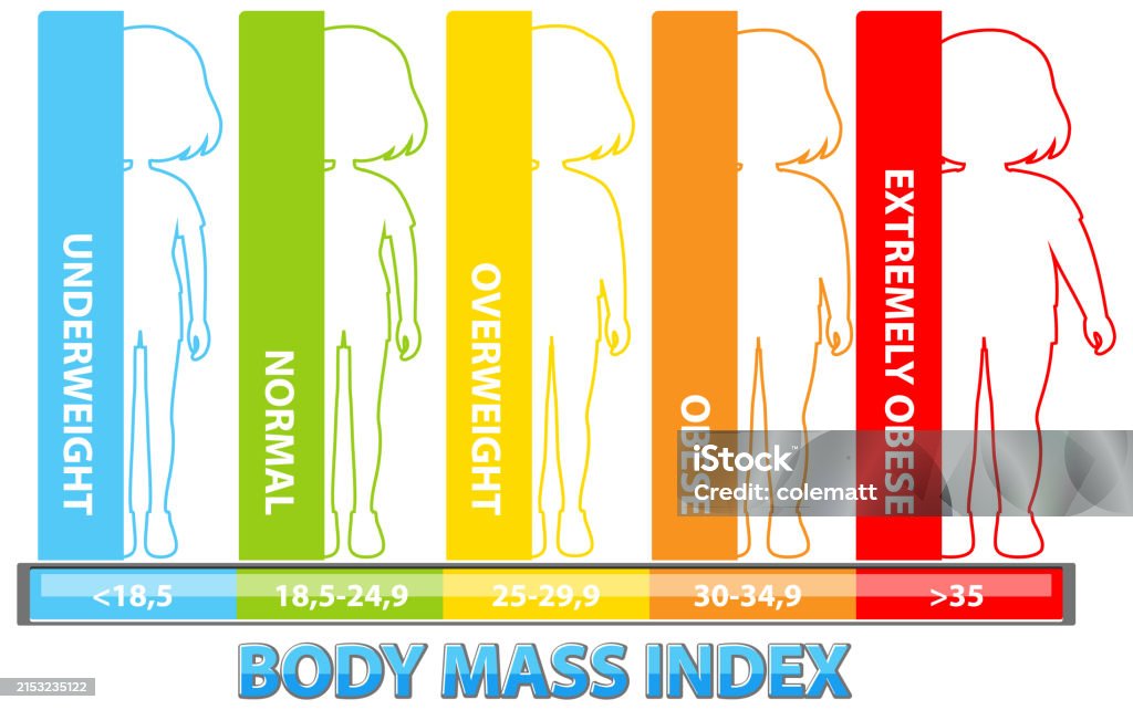 Visual Representation Of Bmi Categories Stock Illustration - Download ... Visual Representation Of Bmi Categories Stock Illustration - Download ...