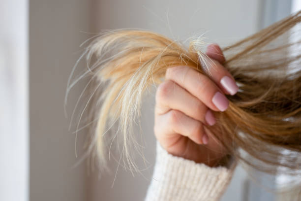 30,000+ Free Pubic Hair & Hair Images - Pixabay