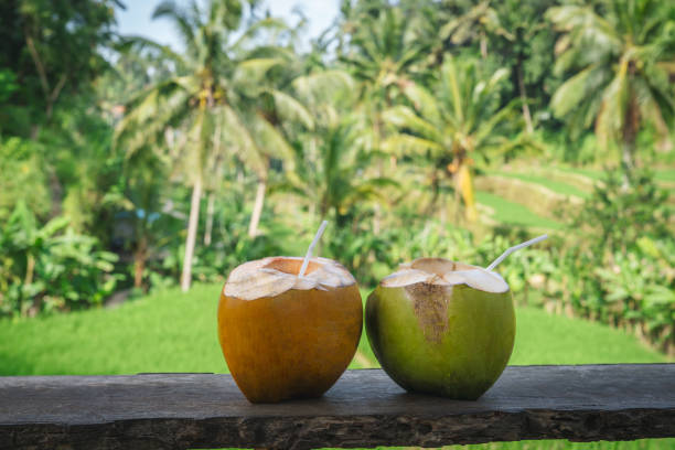 Free Stock Photo of A group of coconuts with a cut in half | Download ...