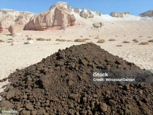 Saudi Arabia Reforestation Project Using Cow Manure To Help Desert ... Saudi Arabia Reforestation Project Using Cow Manure To Help Desert ...