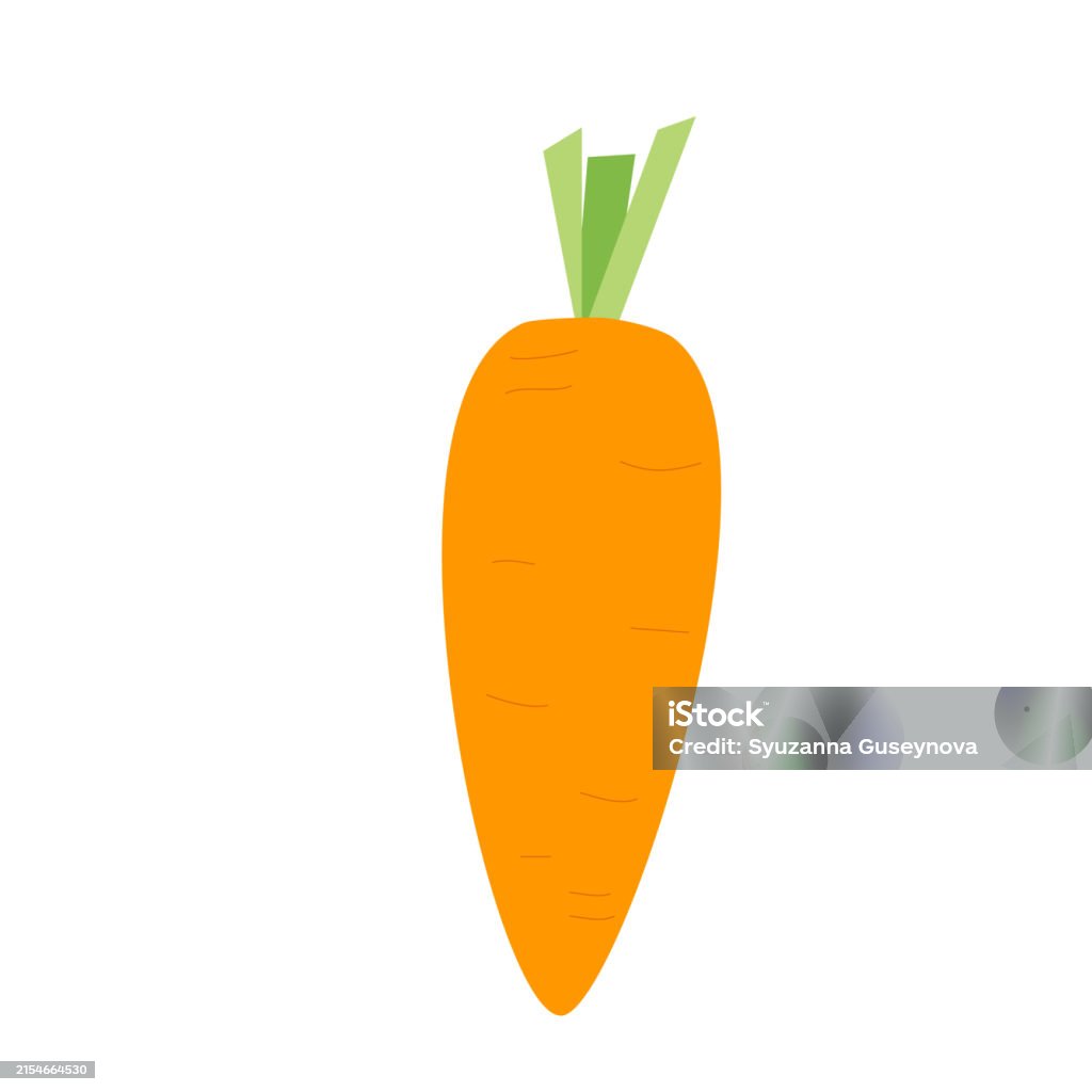 Carrot Isolated On White Background Mini Vegetable Vector Hand Drawn